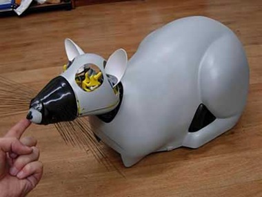 Avances en robots: ahora imitan a las ratas ~ RONMOCHO